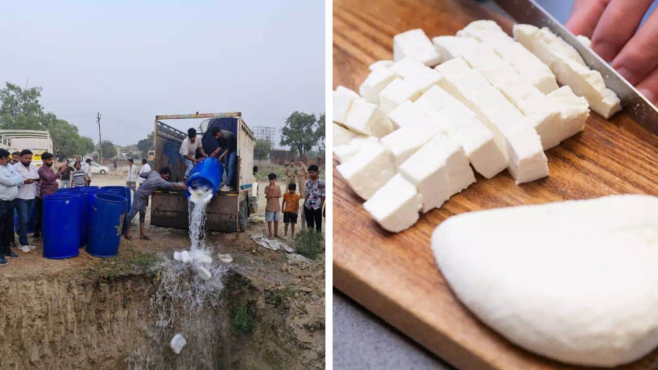 FSDA seized 4800 kgs Fake Paneer on Agra Expressway, Transported from ...